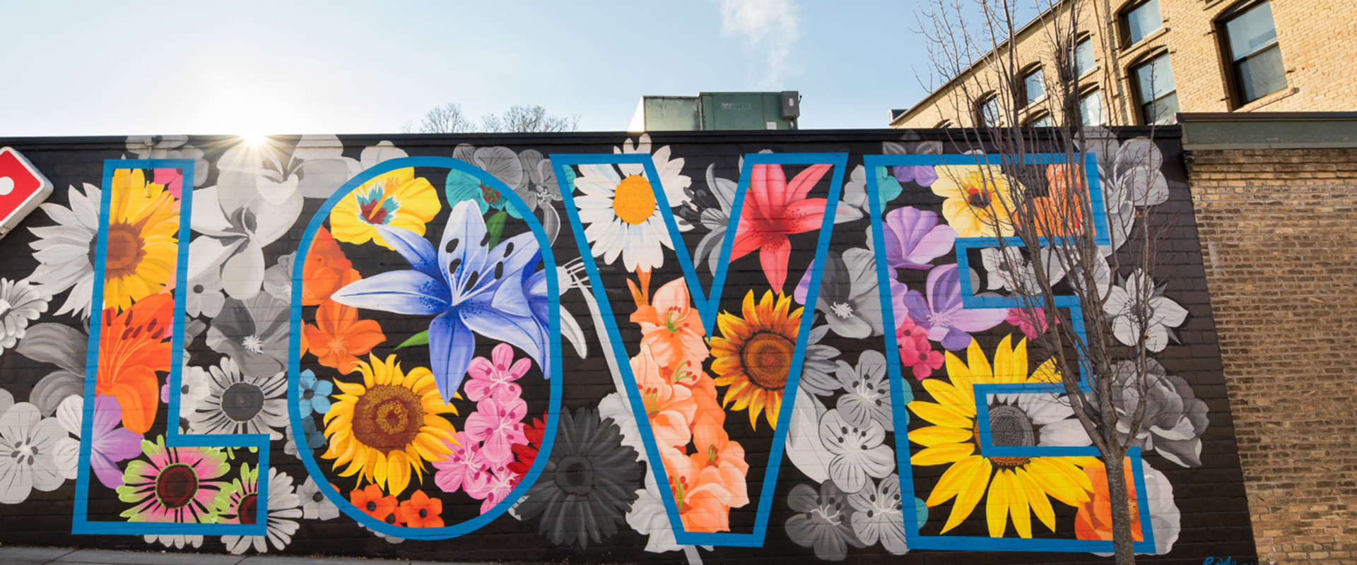 Supporting Cultural Groups in New York City: Resources for Inclusion ...