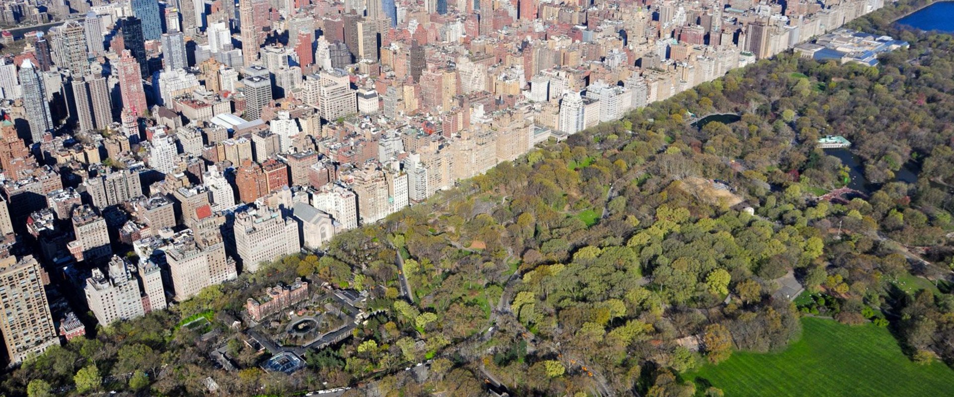 Exploring the Cultural Diversity of New York City: A Comprehensive Guide